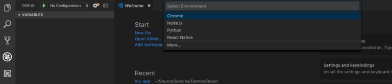 Debugging Ext JS Apps with Visual Studio Code and Chrome - Sencha